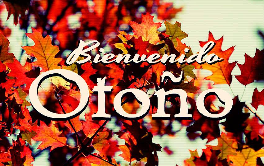 DEL OTOÑO Y SU METÁFORA | Contar es vivir (te)